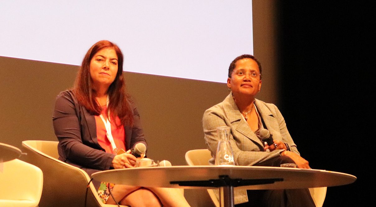 Dr. Lisa Young voted as Vice Chair of the OEGlobal Board – OEGlobal